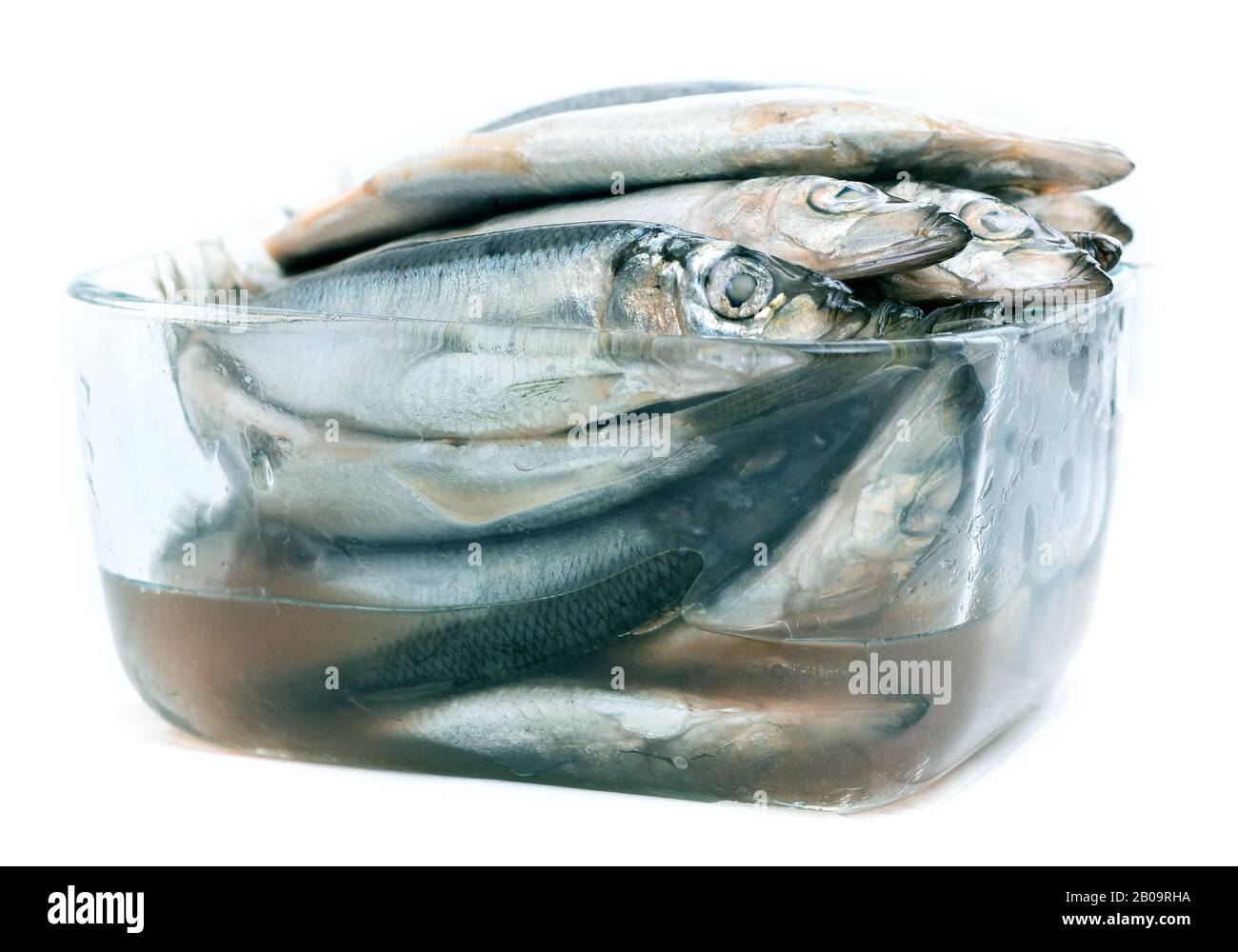Salted in fine brine small ocean fish Stock Photo - Alamy