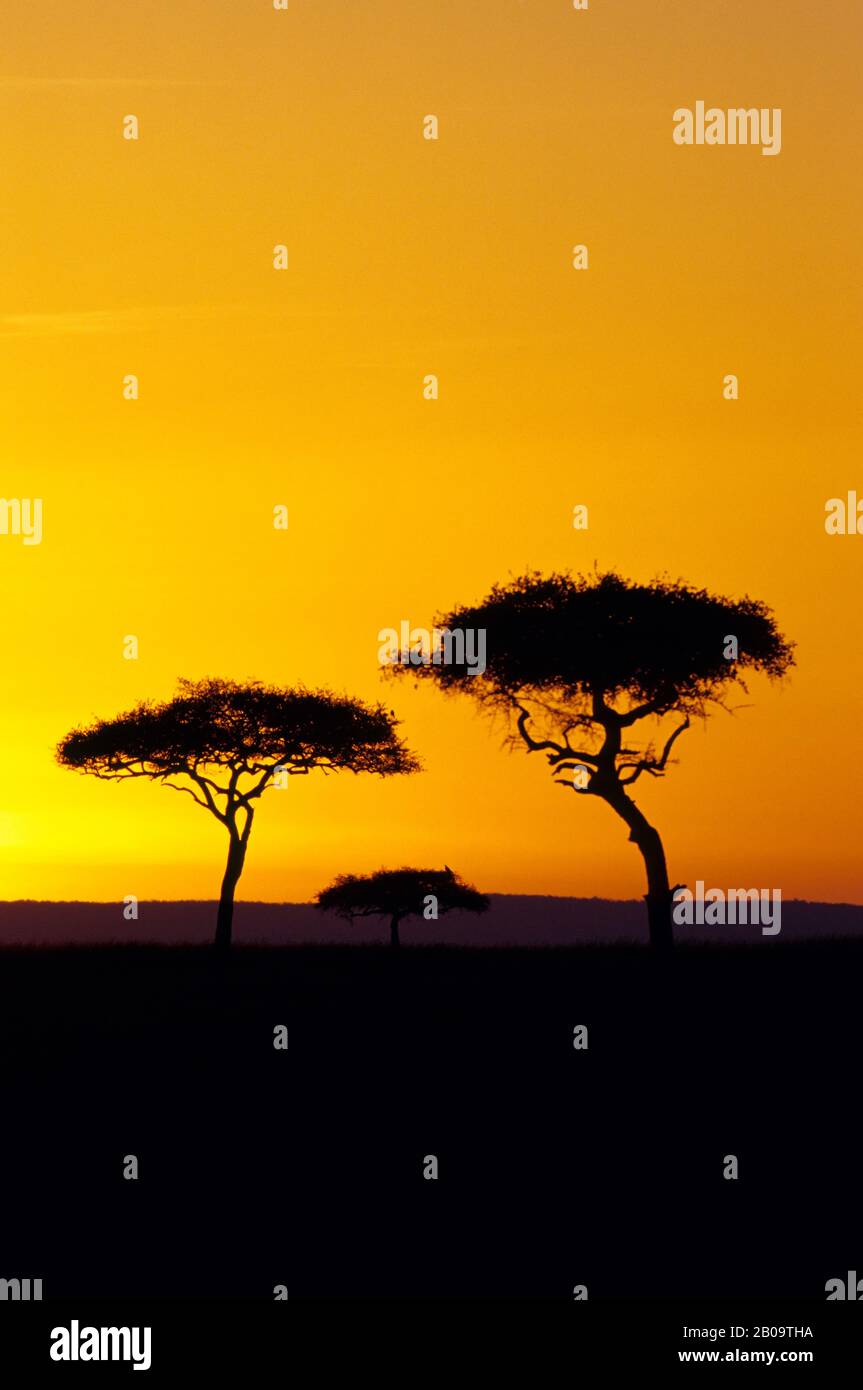 Masai sunrise hi-res stock photography and images - Alamy