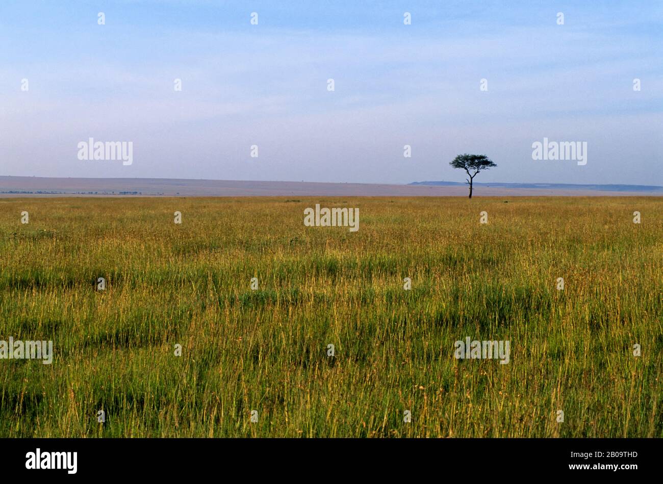 Masai landscape hi-res stock photography and images - Alamy