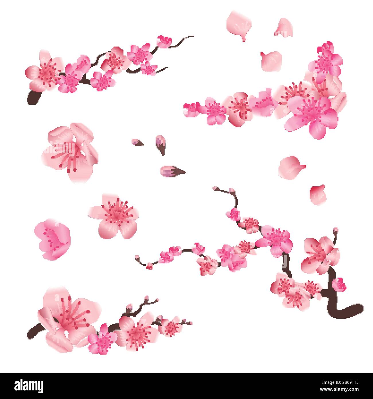 Cherry Blossom Flower Clip Art