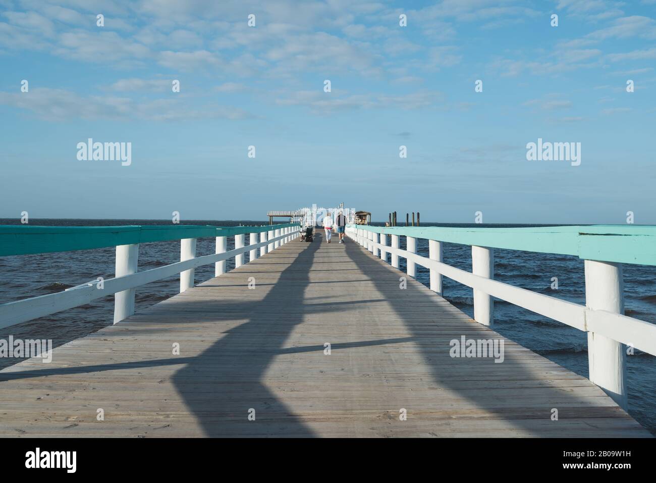 Bokeelia florida hi-res stock photography and images - Alamy