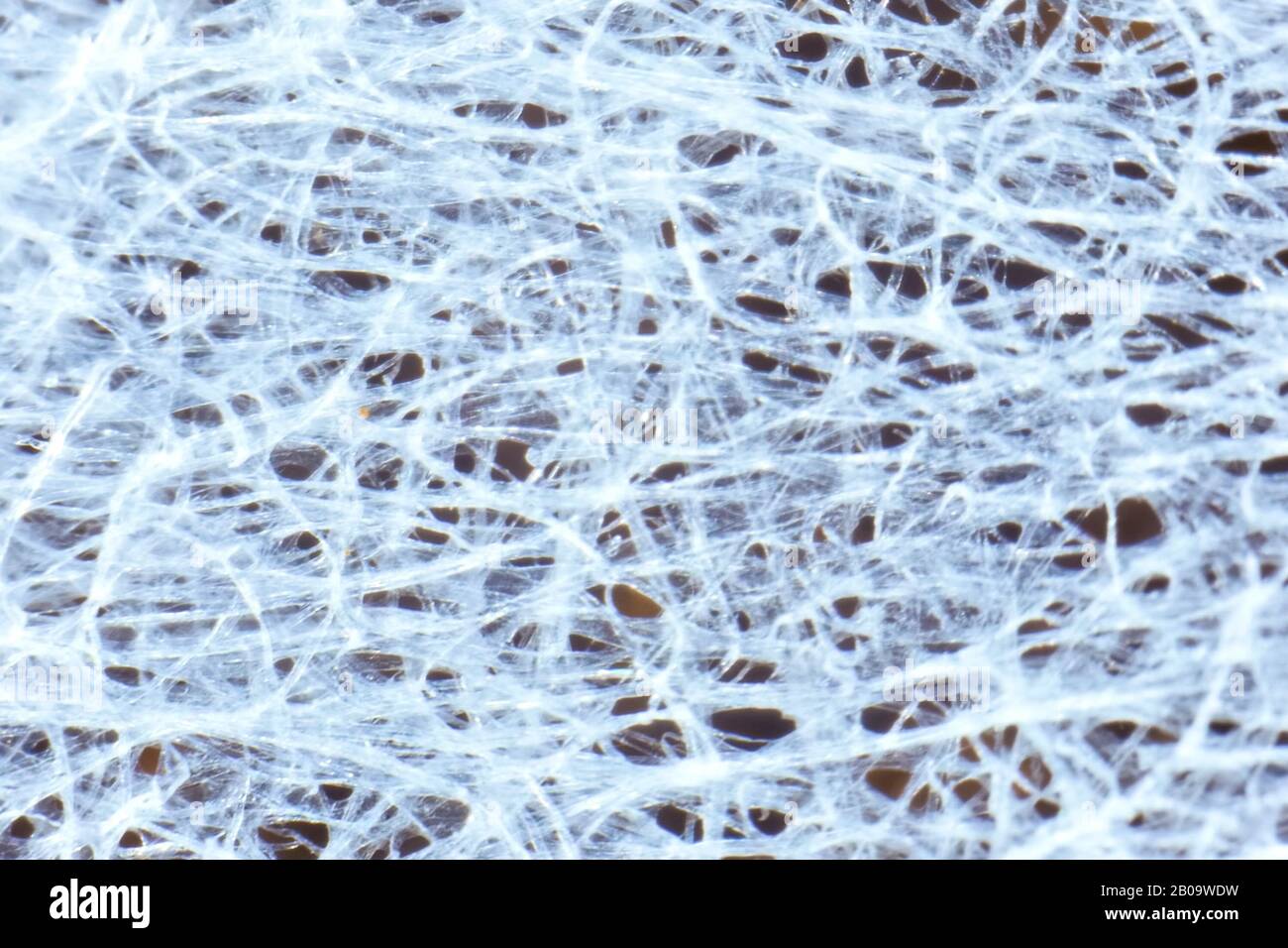 Background texture made of transparent organic. Threads of organic ...