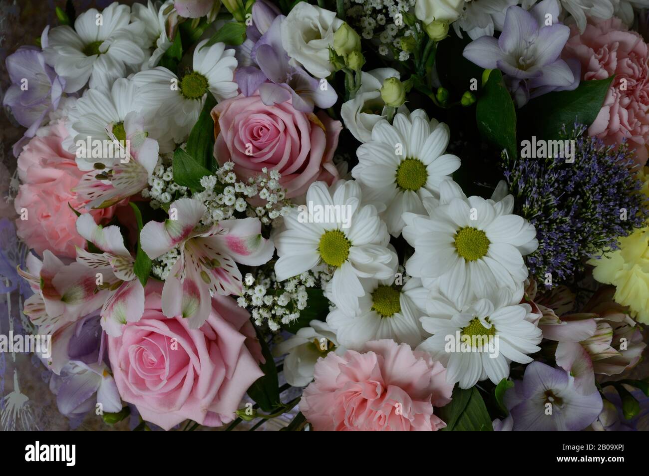 Bunch of pink Roses and white Daisies and others as used by florists ...