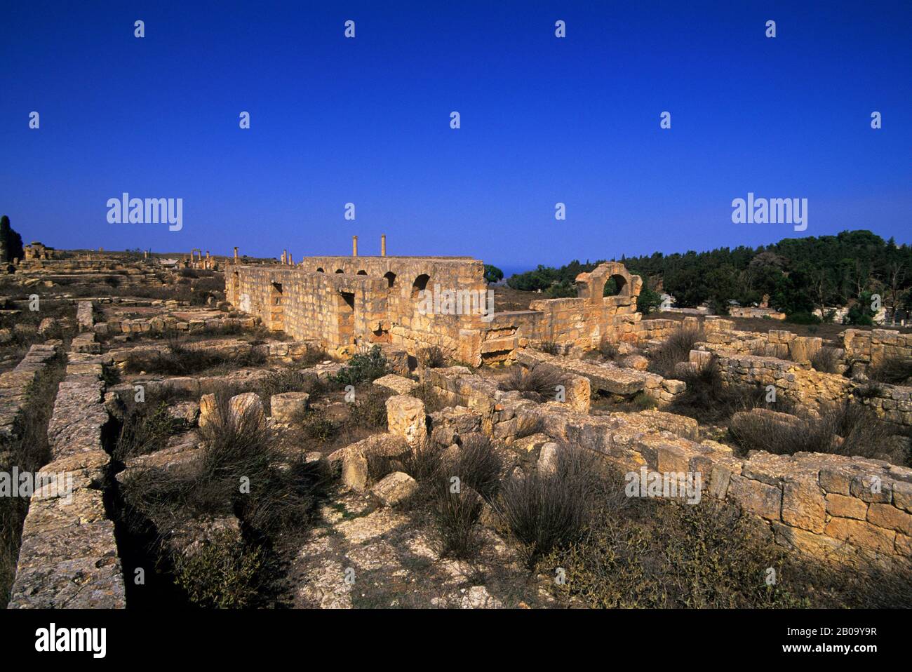 Jason magnus cyrene hi-res stock photography and images - Alamy