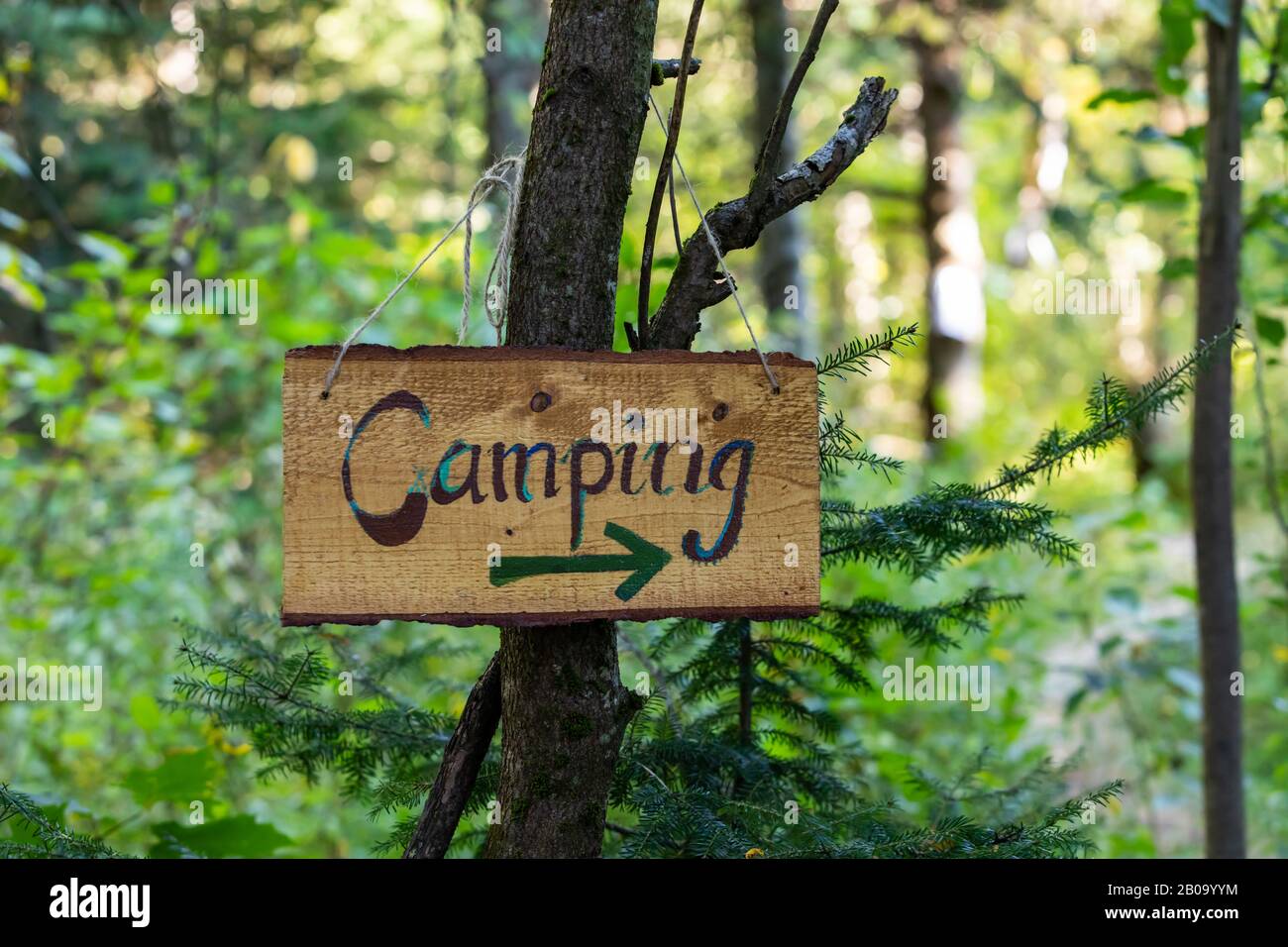 A closeup shot of a handmade wooden sign saying camping with a green ...