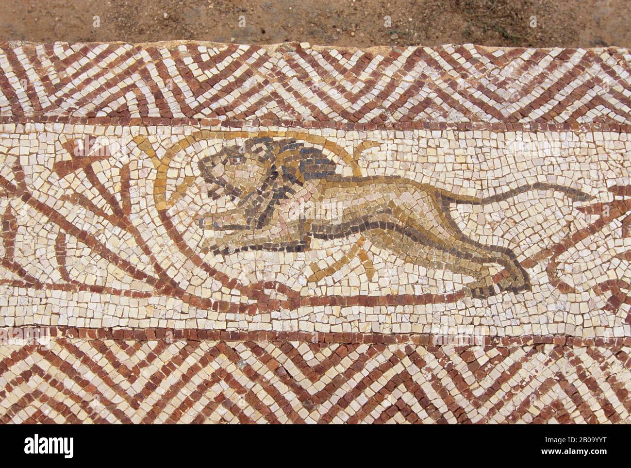 LIBYA, NEAR TRIPOLI, VILLA SILIN, ROMAN, 2ND CENTURY, MOSAICS, LION ...