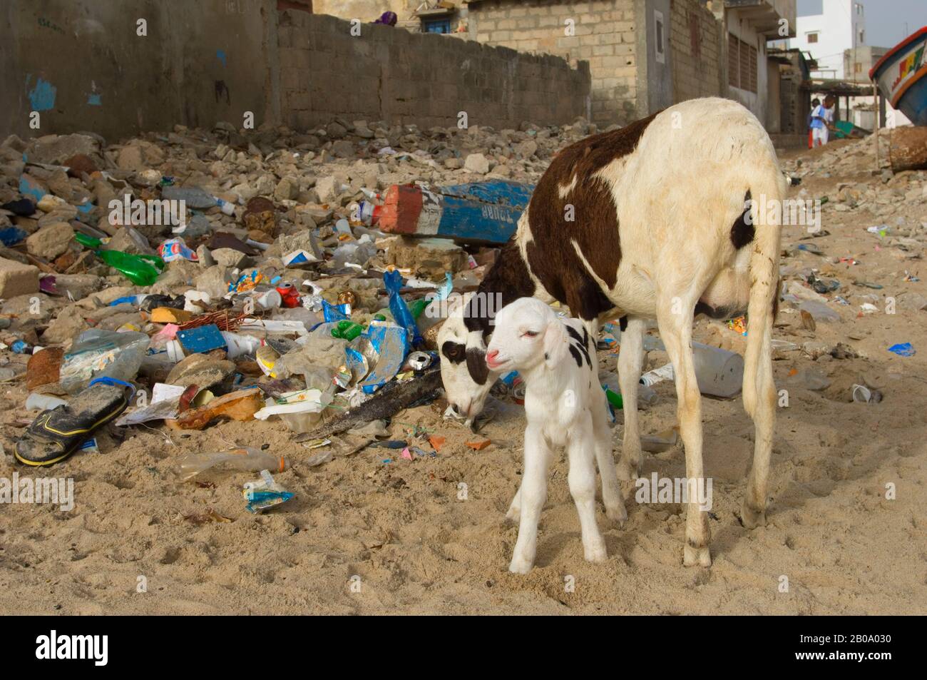 Senegal pollution hi-res stock photography and images - Alamy