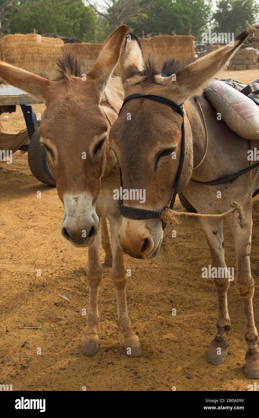 Segou hi-res stock photography and images - Alamy
