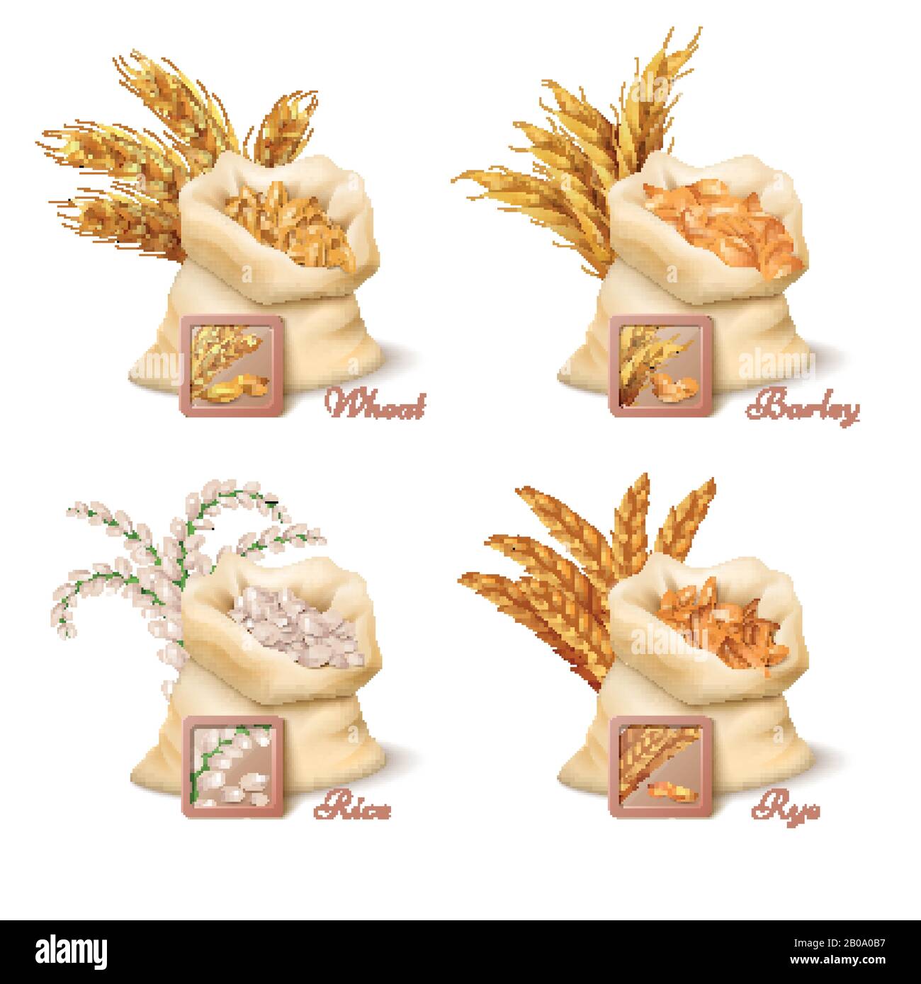 Agricultural cereals - wheat, barley, oat and rice vector. Set of sacks ...