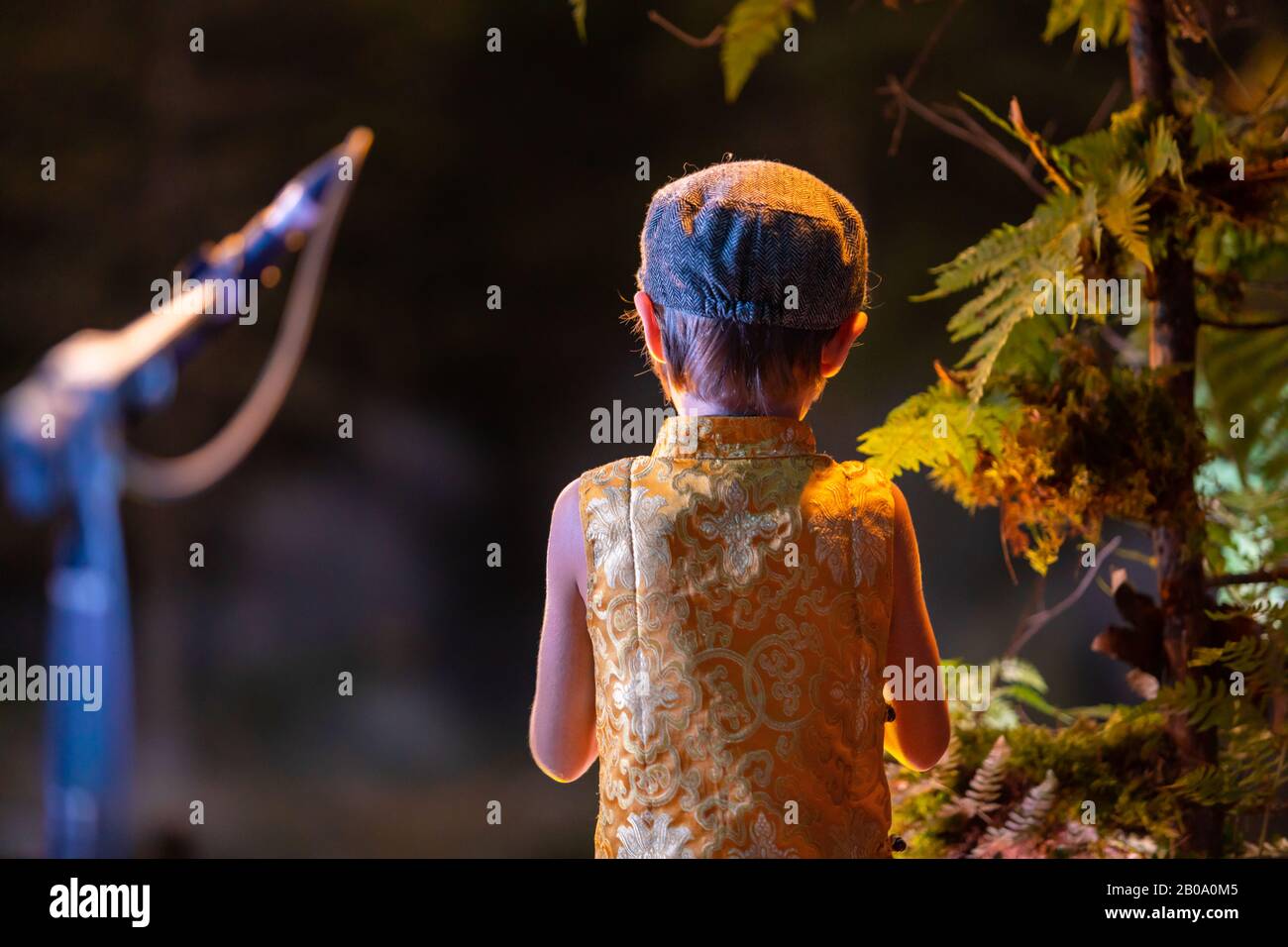 A closeup soft focus shot from behind a 5 year old young bog standing ...