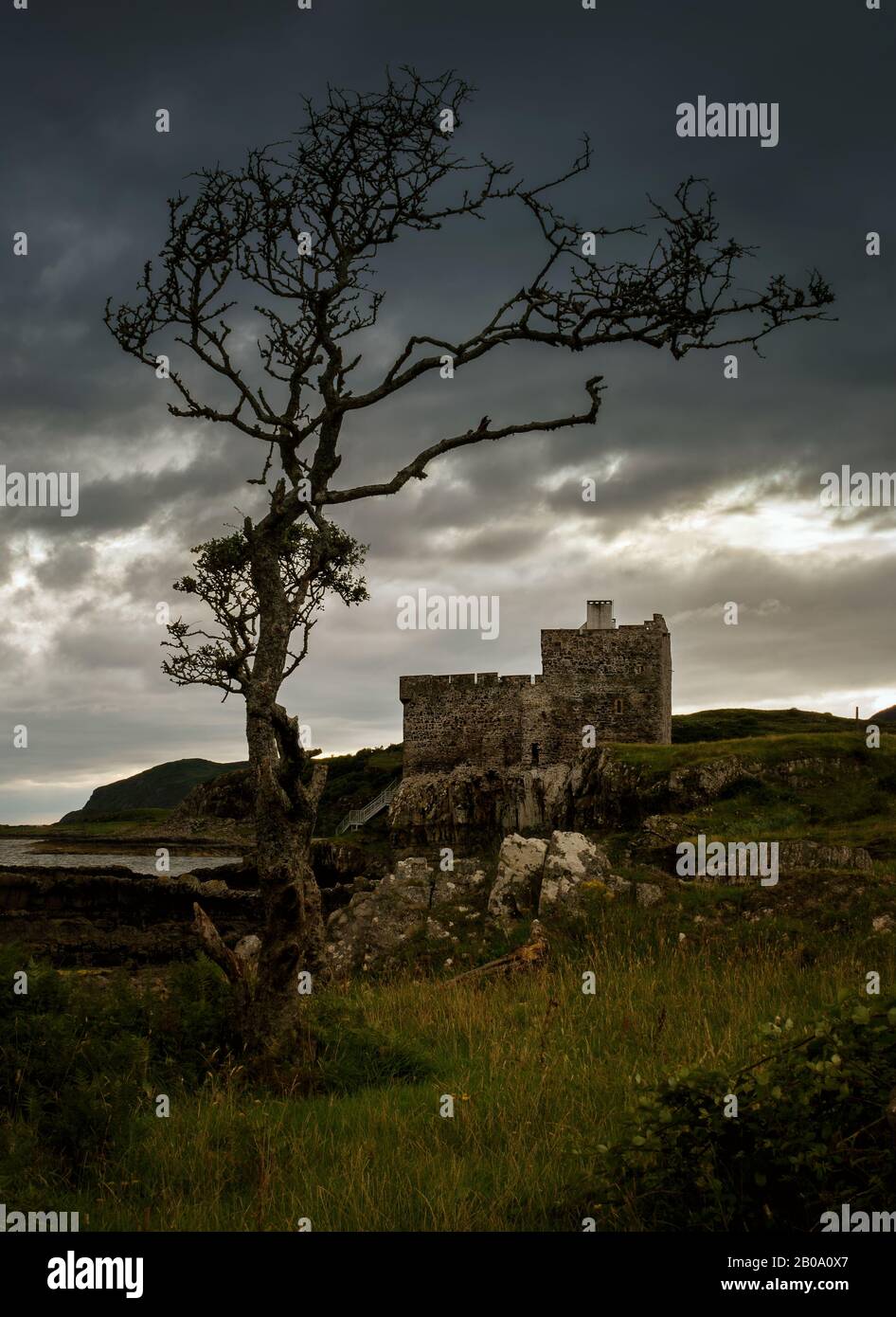 Mingary Castle in stormy weather with scottish tree, Scotland Stock ...
