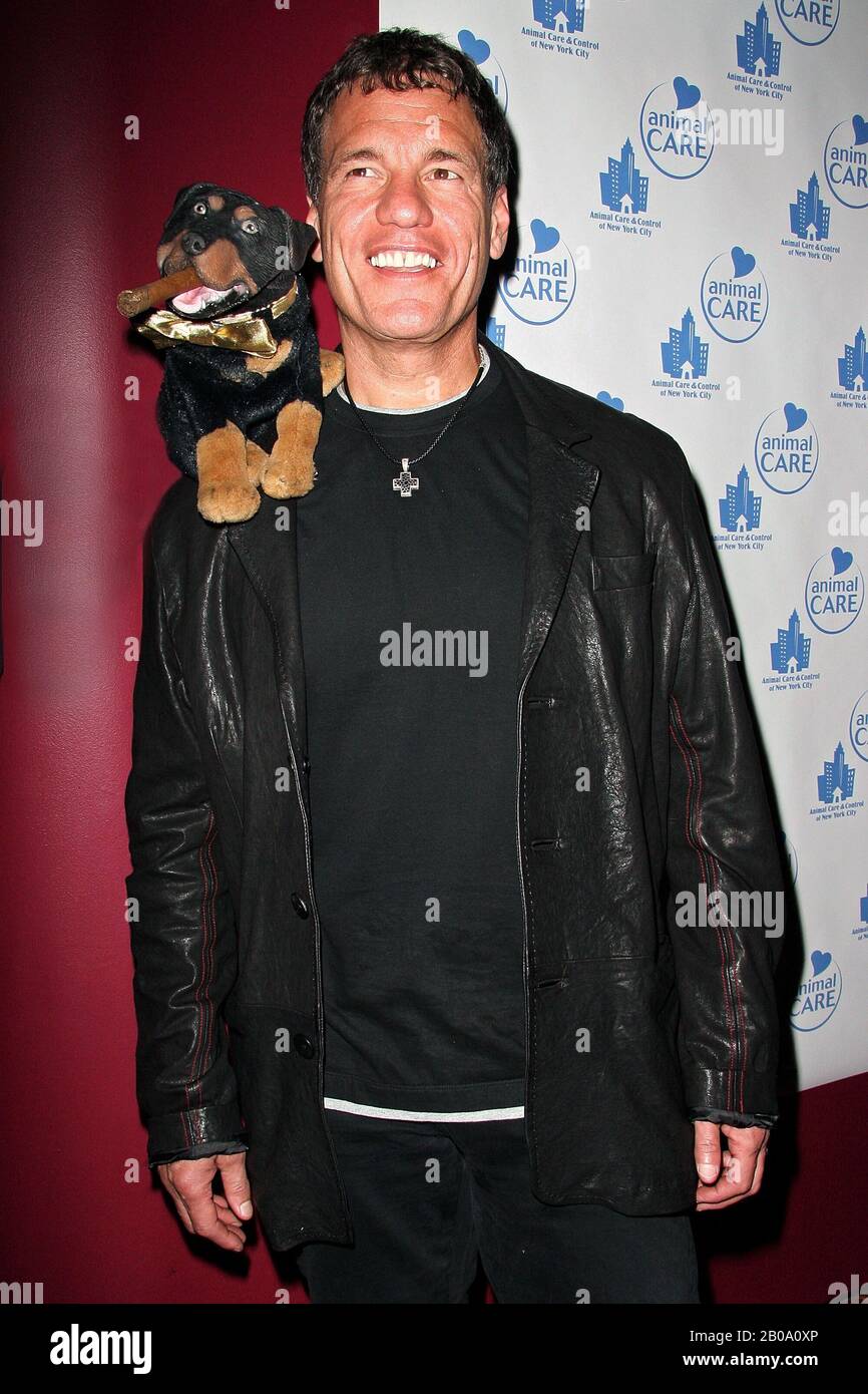 New York, NY, USA. 25 September, 2008. Triumph The Insult Comic Dog ...