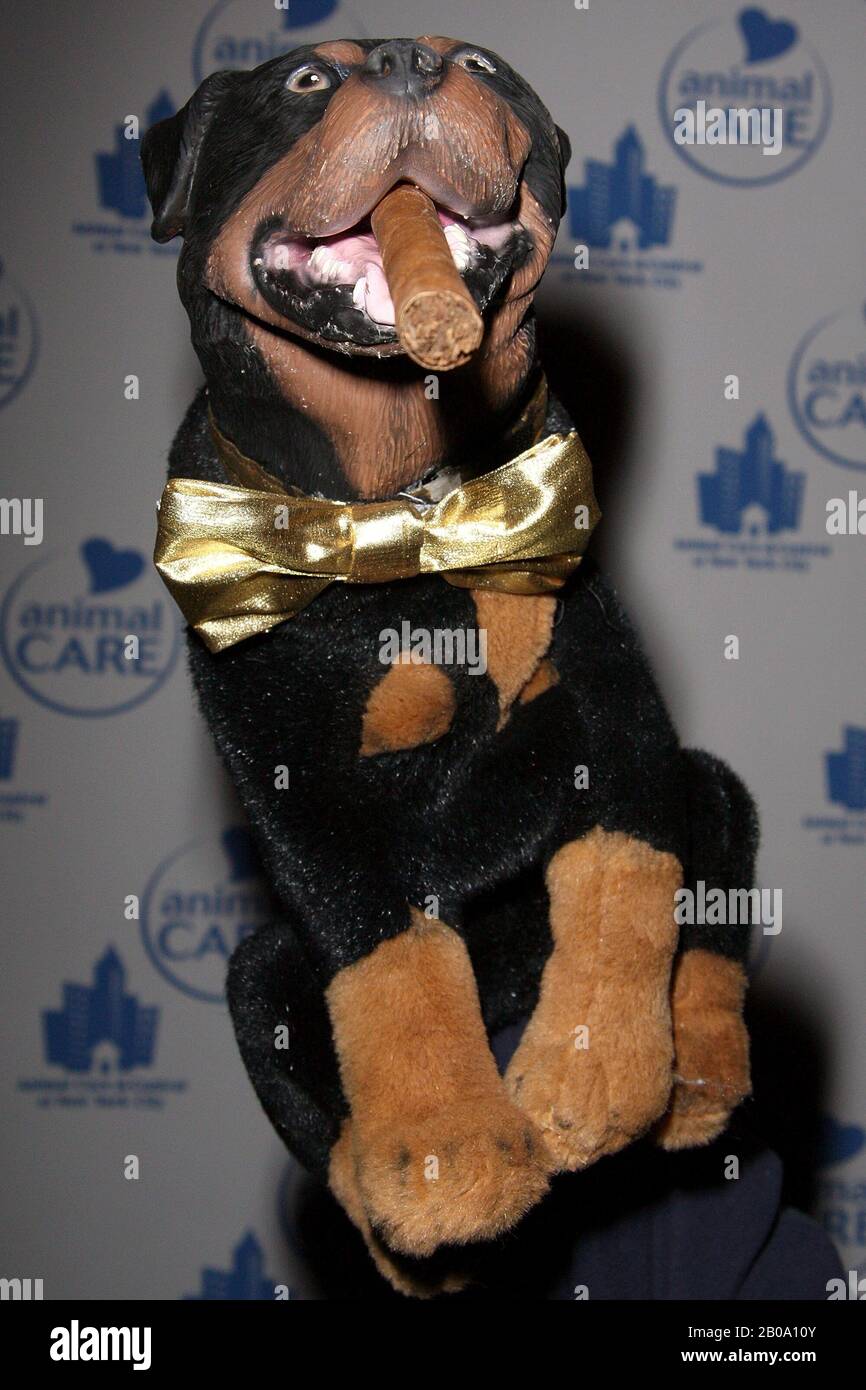 New York, NY, USA. 25 September, 2008. Triumph The Insult Comic Dog at ...