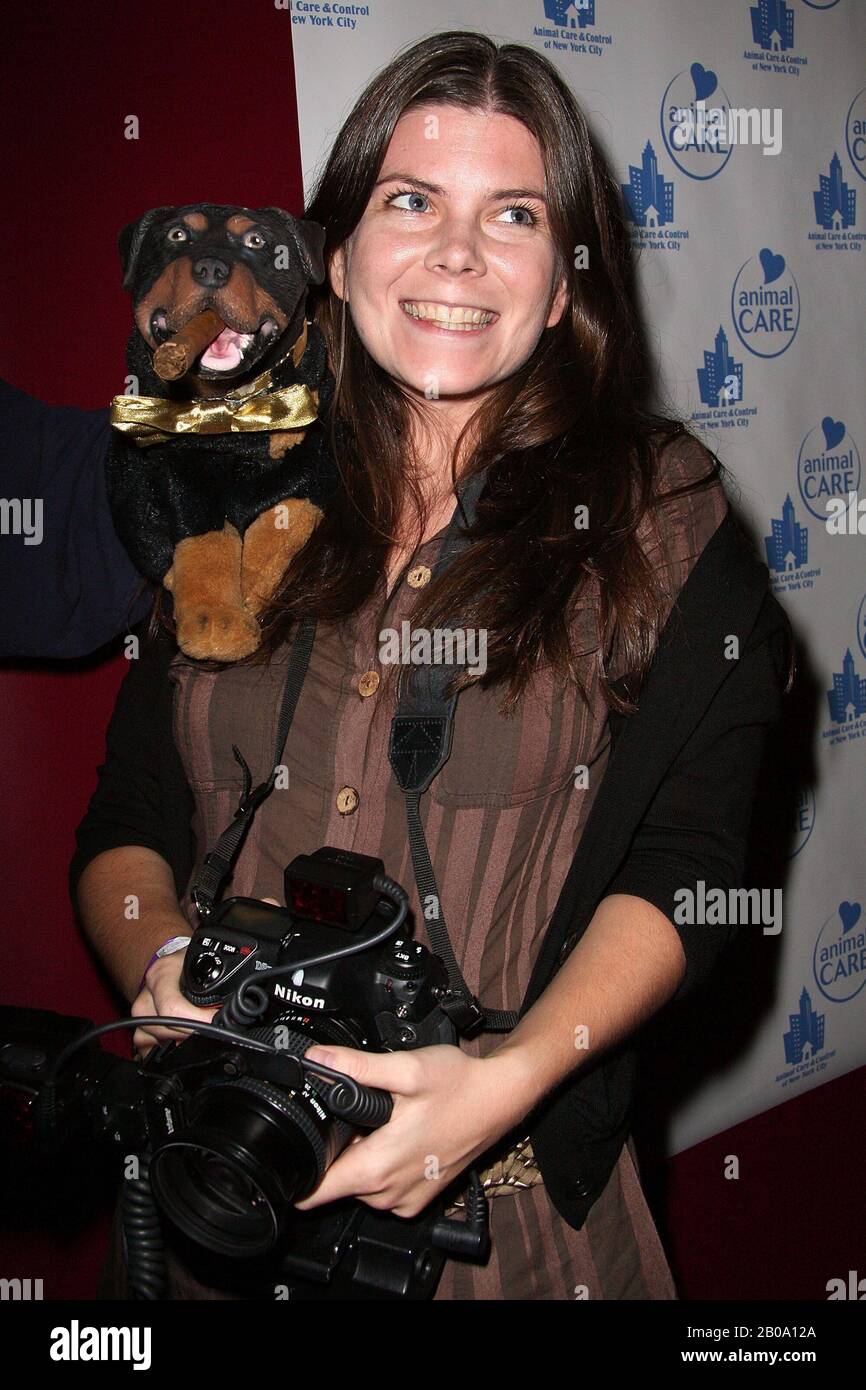 Triumph the insult comic dog hi-res stock photography and images - Alamy