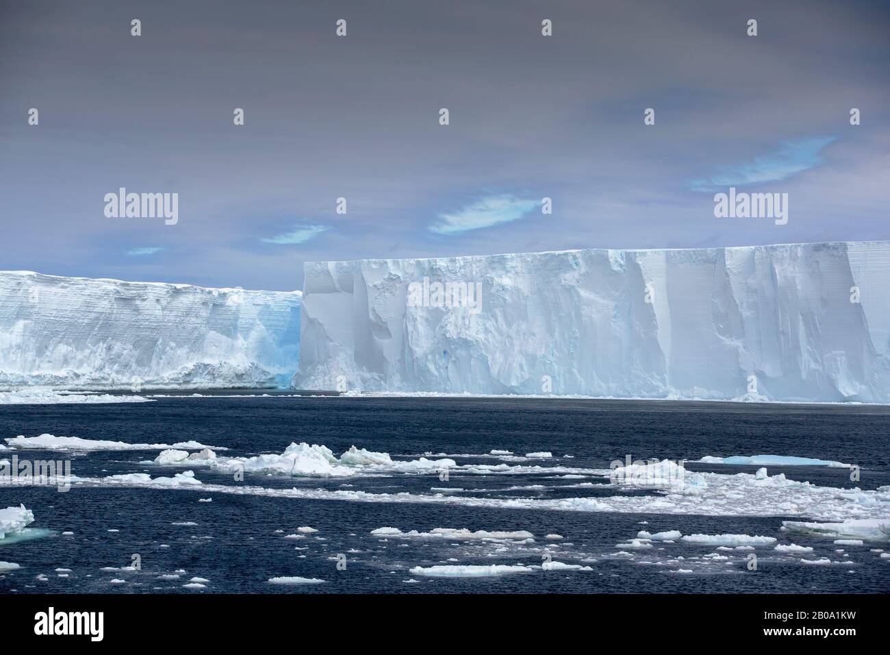 Tabular icebergs that have broken off the Larson C ice shelf floating ...