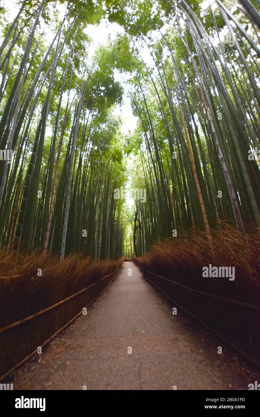 Beauty of japan hi-res stock photography and images - Alamy