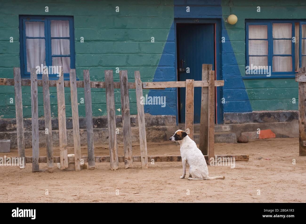Township dog hi-res stock photography and images - Alamy
