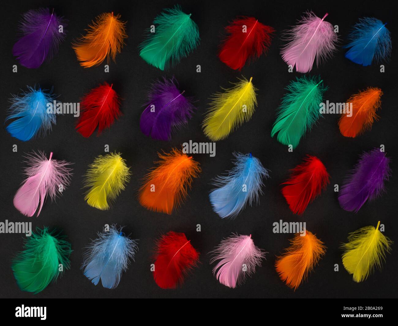 Arranged Feathers High Resolution Stock Photography and Images - Alamy