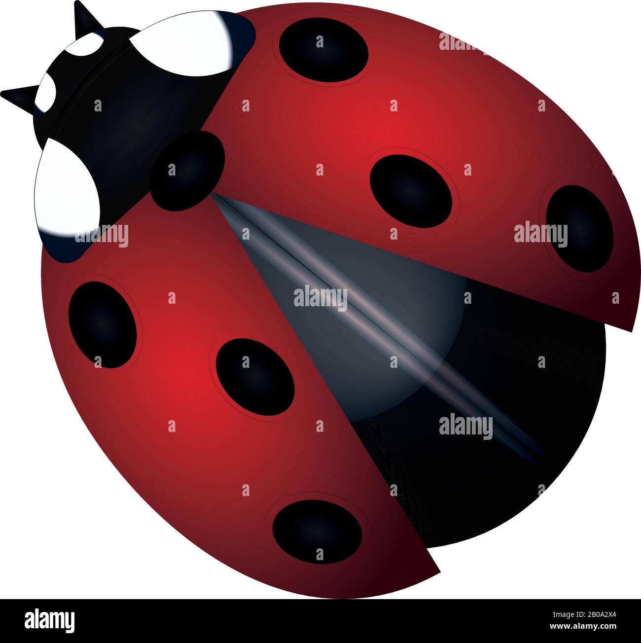 Ladybug macro Stock Vector Images - Alamy