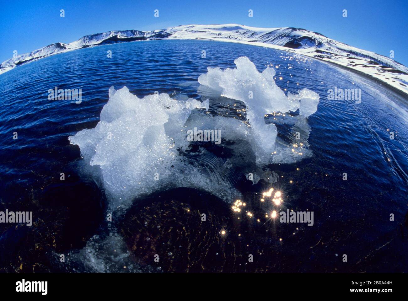 ANTARCTICA, DECEPTION ISLAND, BIZARRE LOOKING PIECE OF ICE PHOTOGRAPHED ...