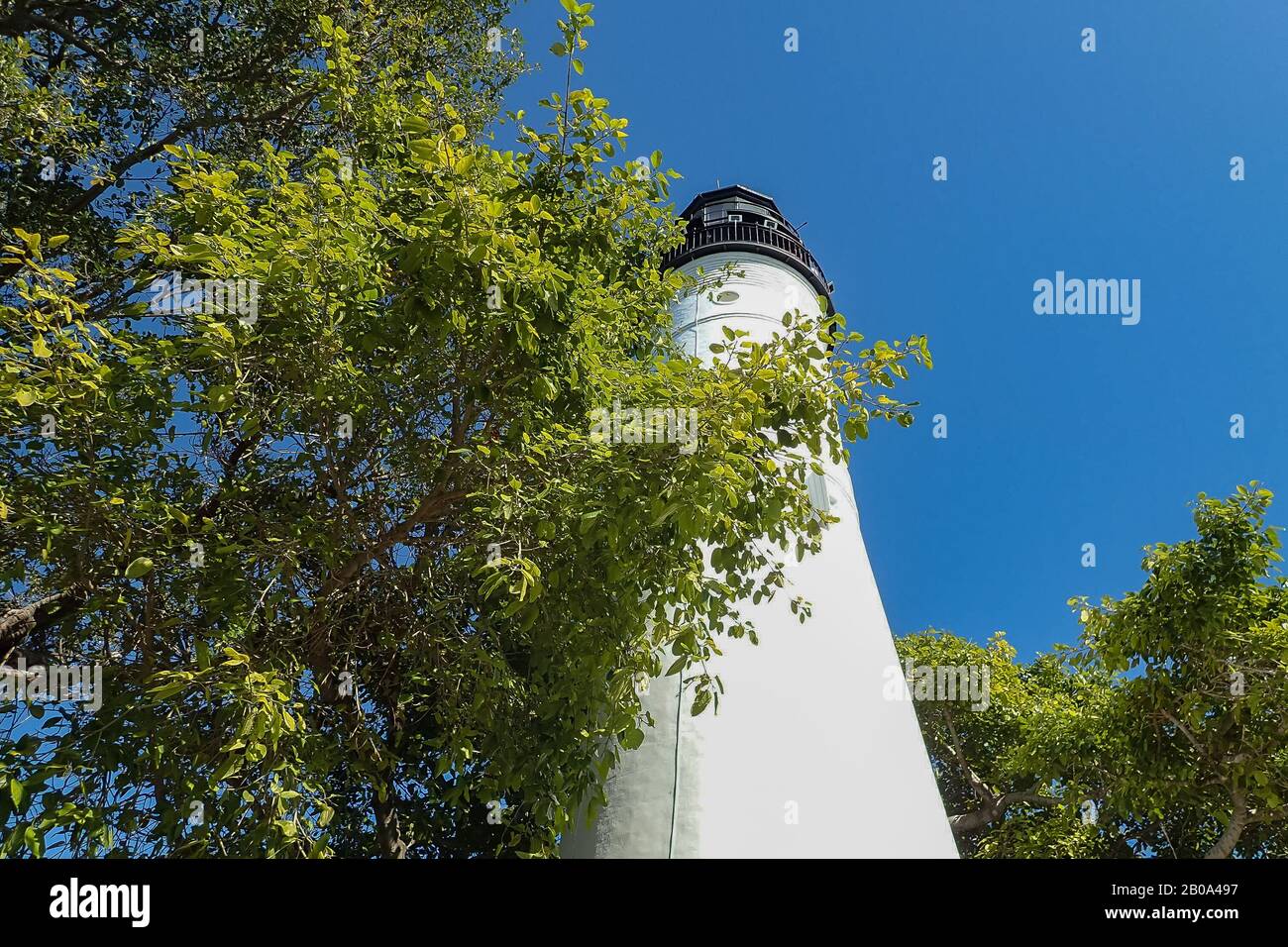 Lighthouse surrounded by trees Stock Photo - Alamy