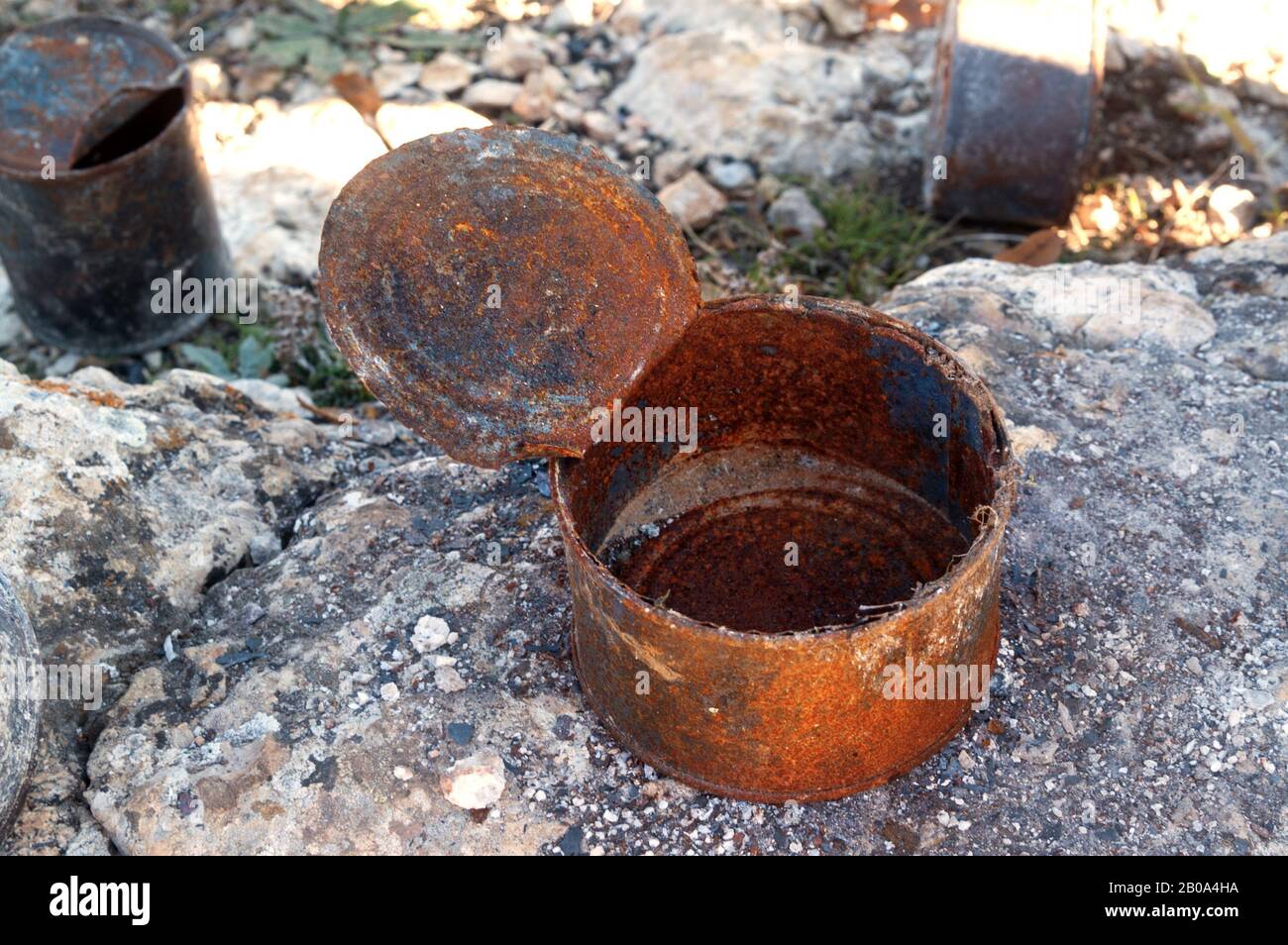 Ash Vintage Tin Cans