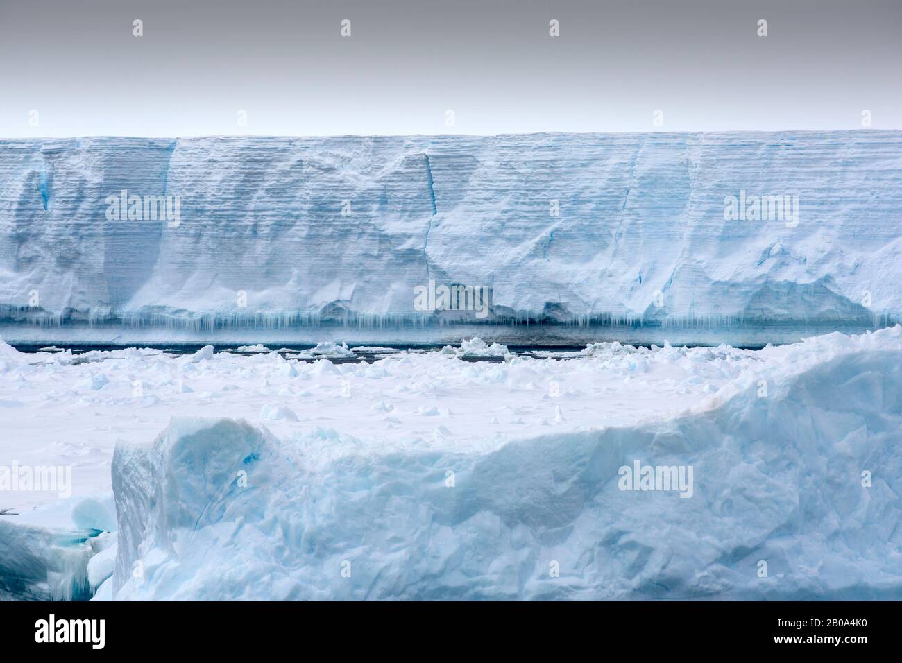 Tabular icebergs that have broken off the Larson C ice shelf floating ...