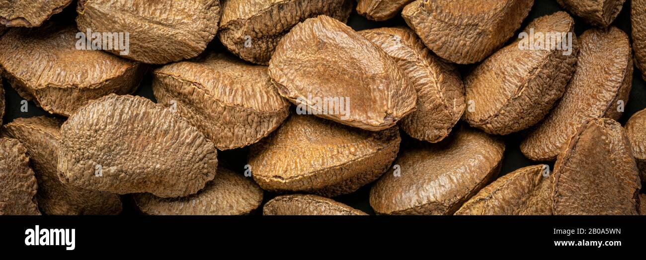 Brazilian nuts in shells against dark background, superfood concept ...