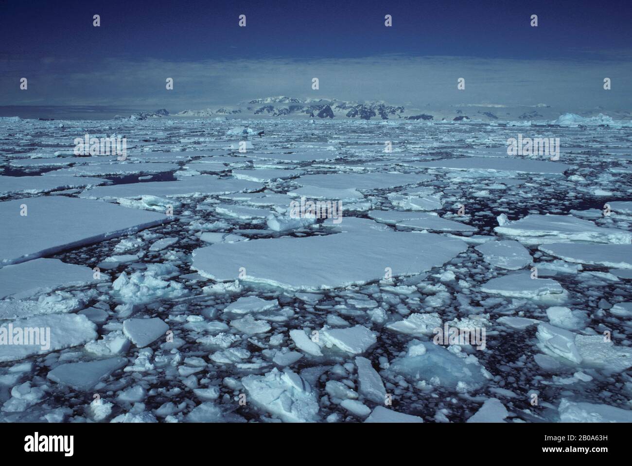 Area of ice hi-res stock photography and images - Alamy