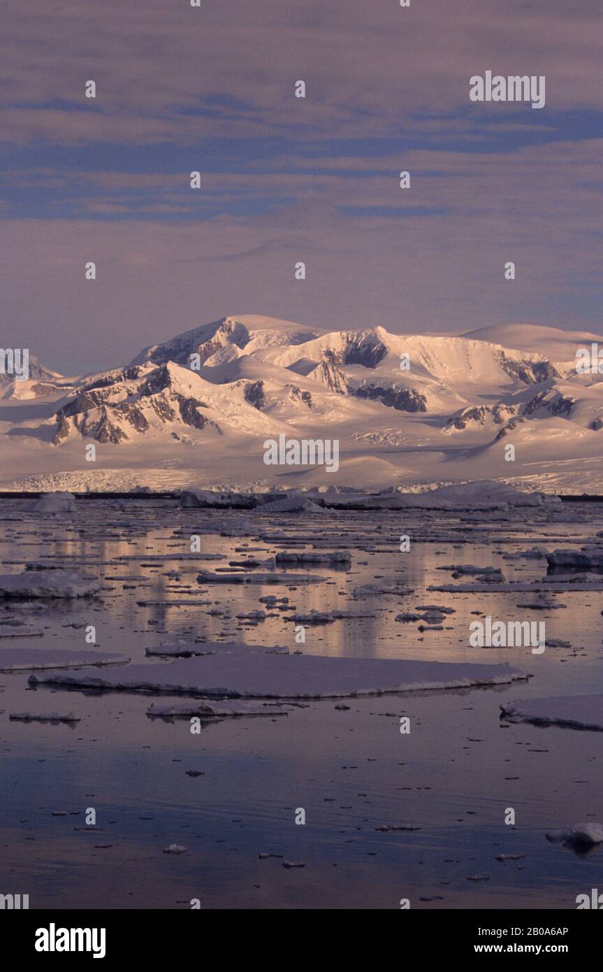 Antarctic peninsula landscape ice hi-res stock photography and images ...