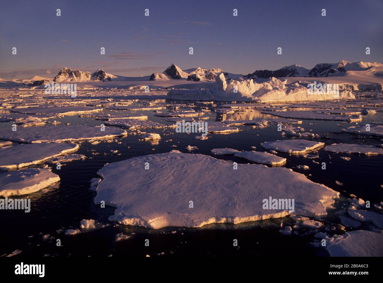 ANTARCTIC PENINSULA AREA, MOUNTAINS AND PACK ICE IN EVENING LIGHT Stock ...