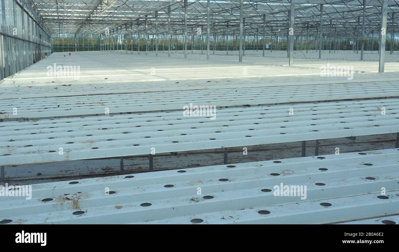Big empty growing space hi-res stock photography and images - Alamy