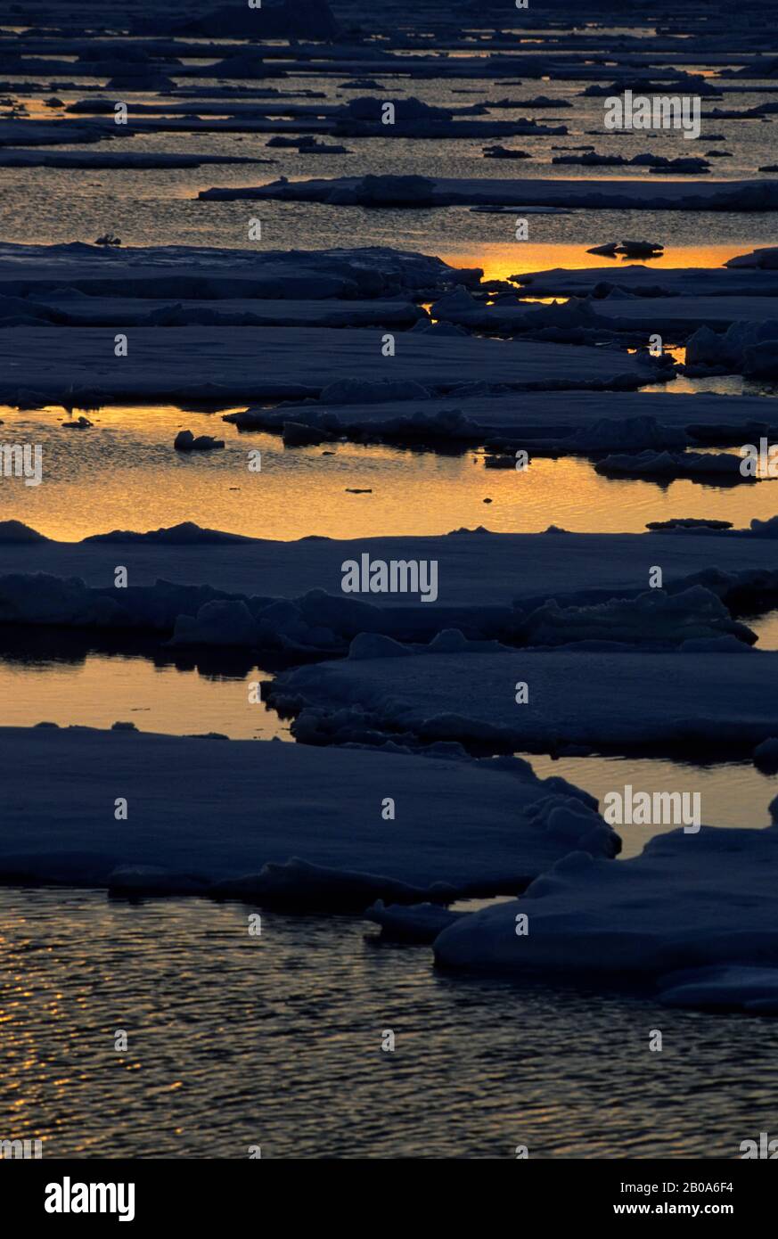 Pack ice in the sun hi-res stock photography and images - Alamy