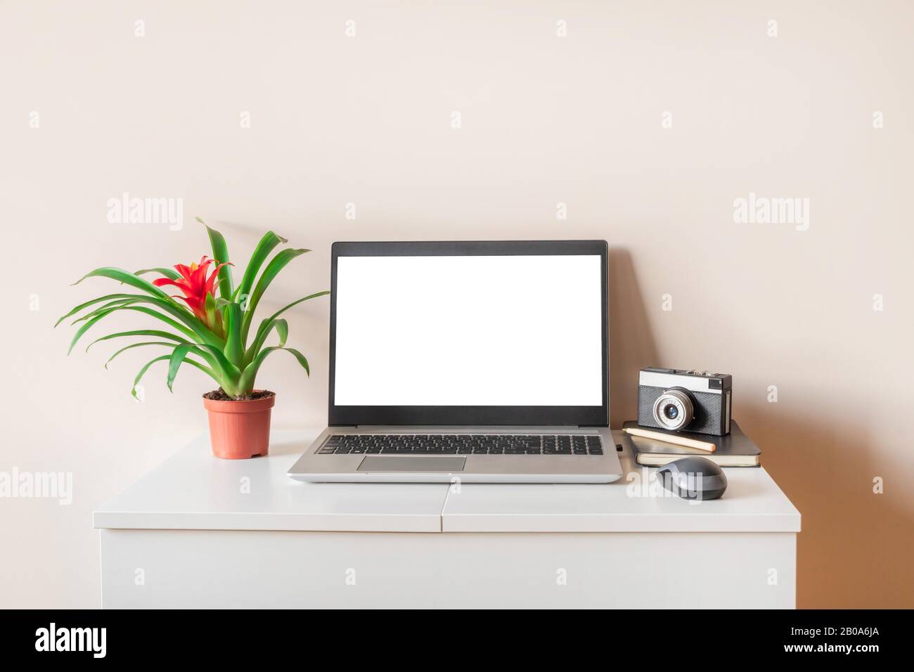 Front view of home office or home workspace with notebook, plant, retro ...