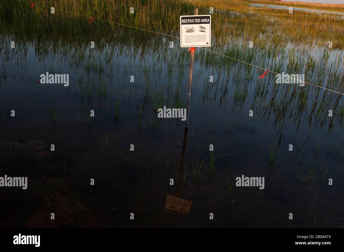 Piping plover sign Stock Photo - Alamy
