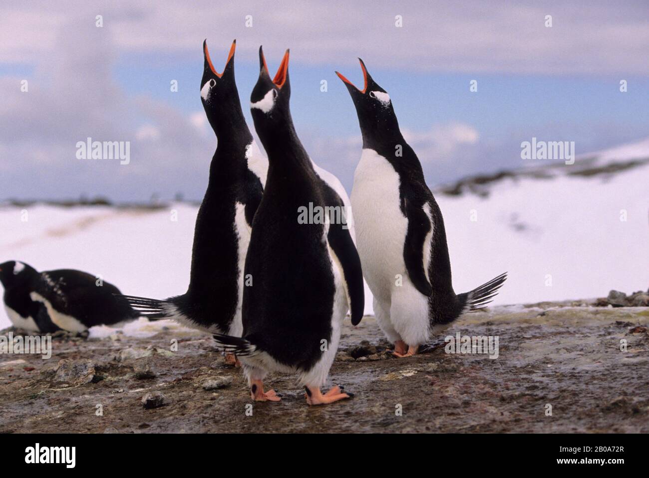 Mutual display hi-res stock photography and images - Alamy