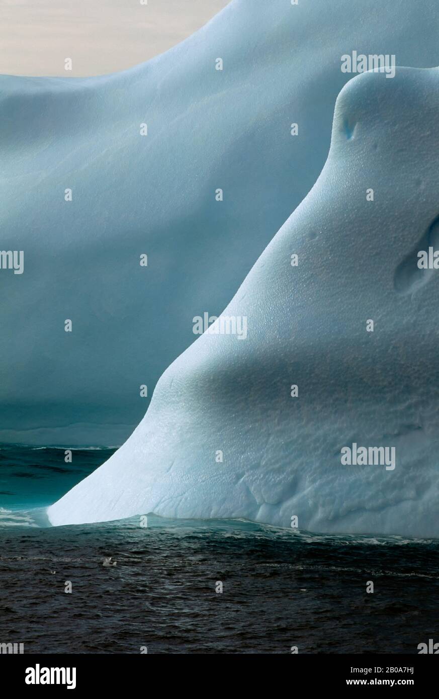 Adelaide island antarctica hi-res stock photography and images - Alamy