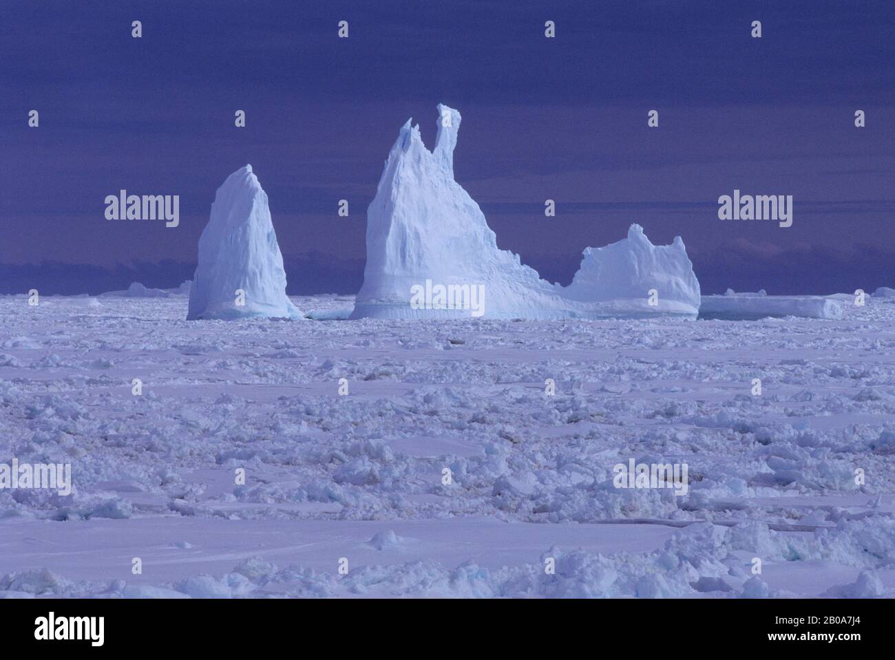 ANTARCTIC PENINSULA, NEAR ADELAIDE ISLAND, PACK ICE AND ICEBERG Stock ...