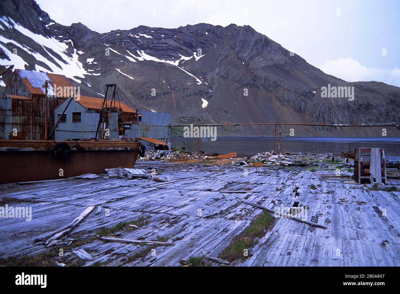 SOUTH GEORGIA ISLAND, LEITH HARBOR, OLD WHALING STATION, FLENSING DECK ...