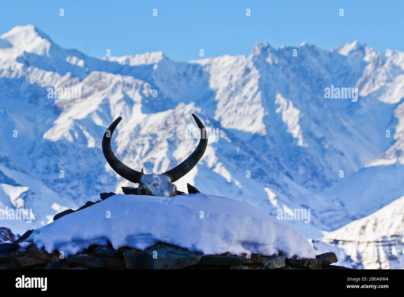 Ulley vallley. Himalayas. Ladak, India Stock Photo - Alamy