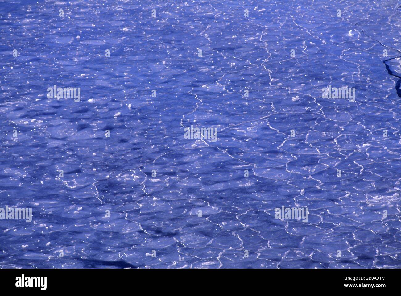 Pancake ice sea hi-res stock photography and images - Alamy