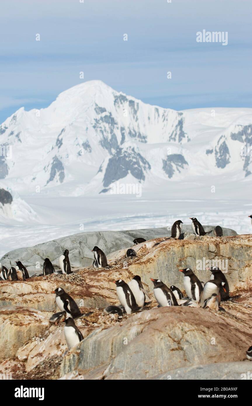 Penola strait hi-res stock photography and images - Alamy