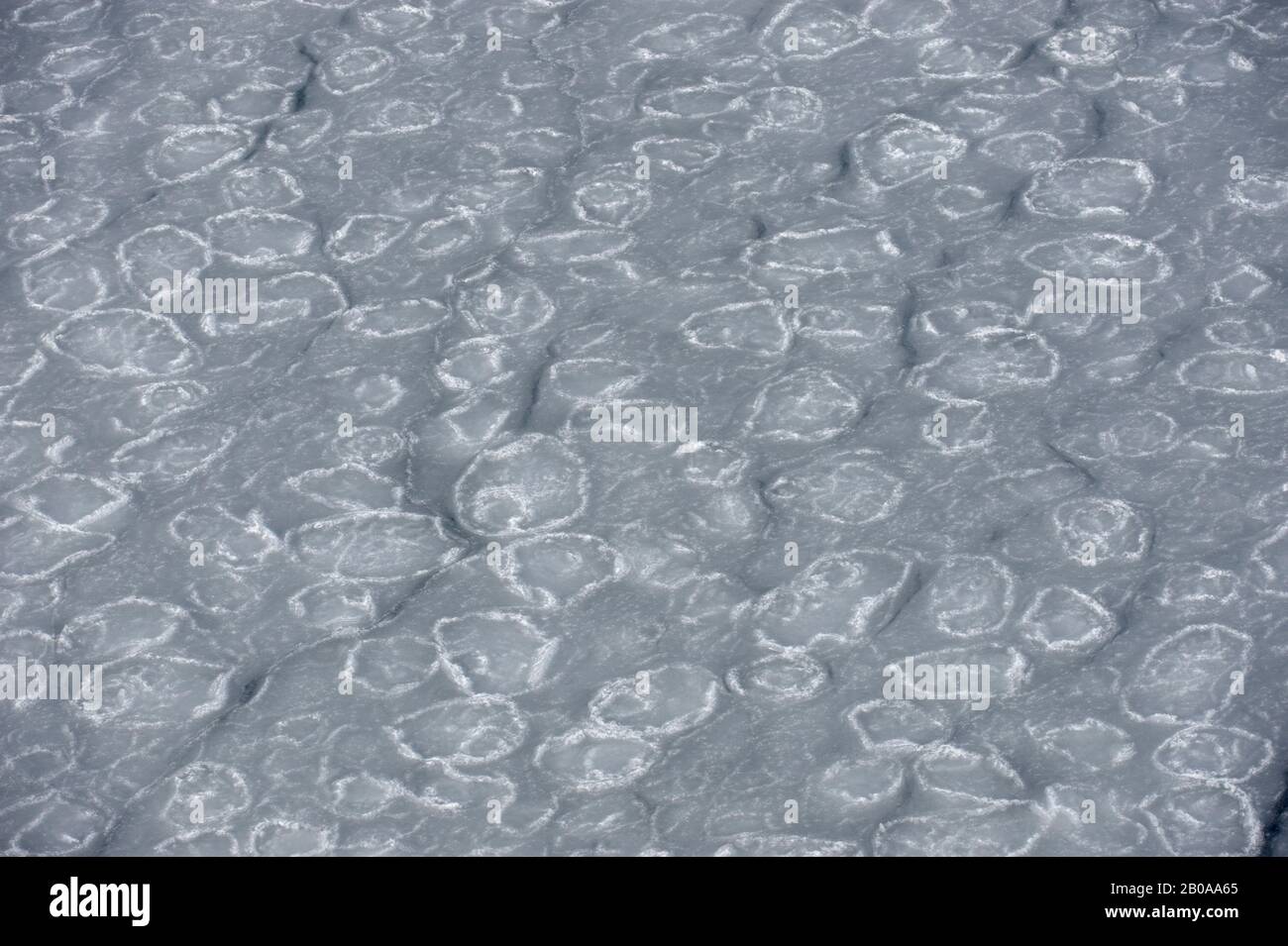 Pancake ice sea hi-res stock photography and images - Alamy