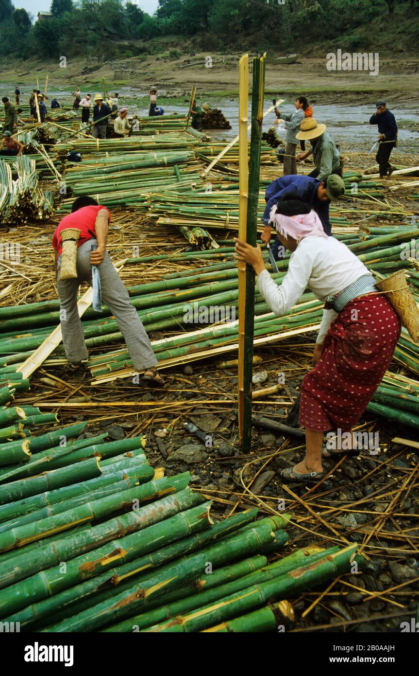 Bamboo pulp hi-res stock photography and images - Alamy