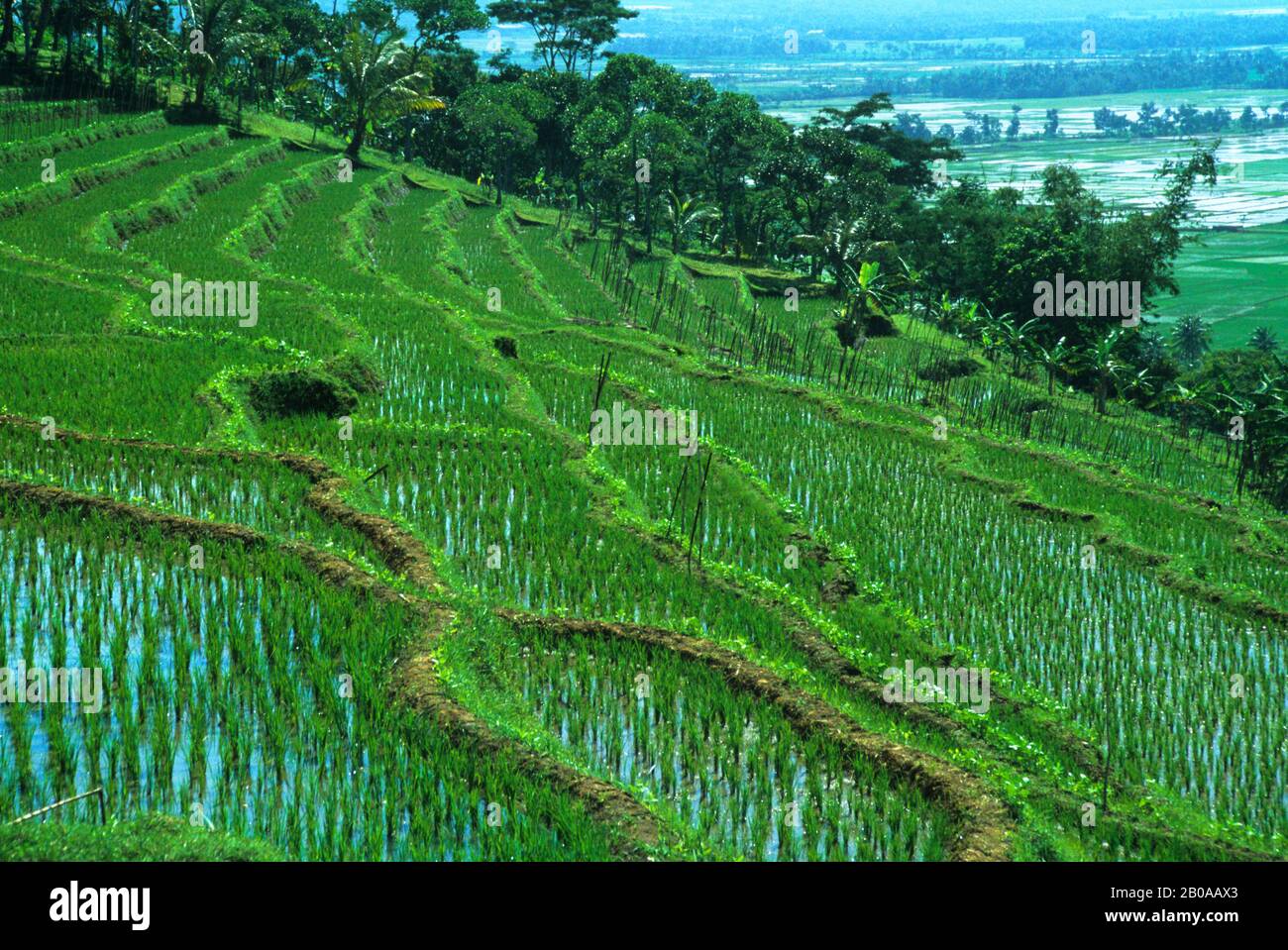 Country side landscape hi-res stock photography and images - Alamy