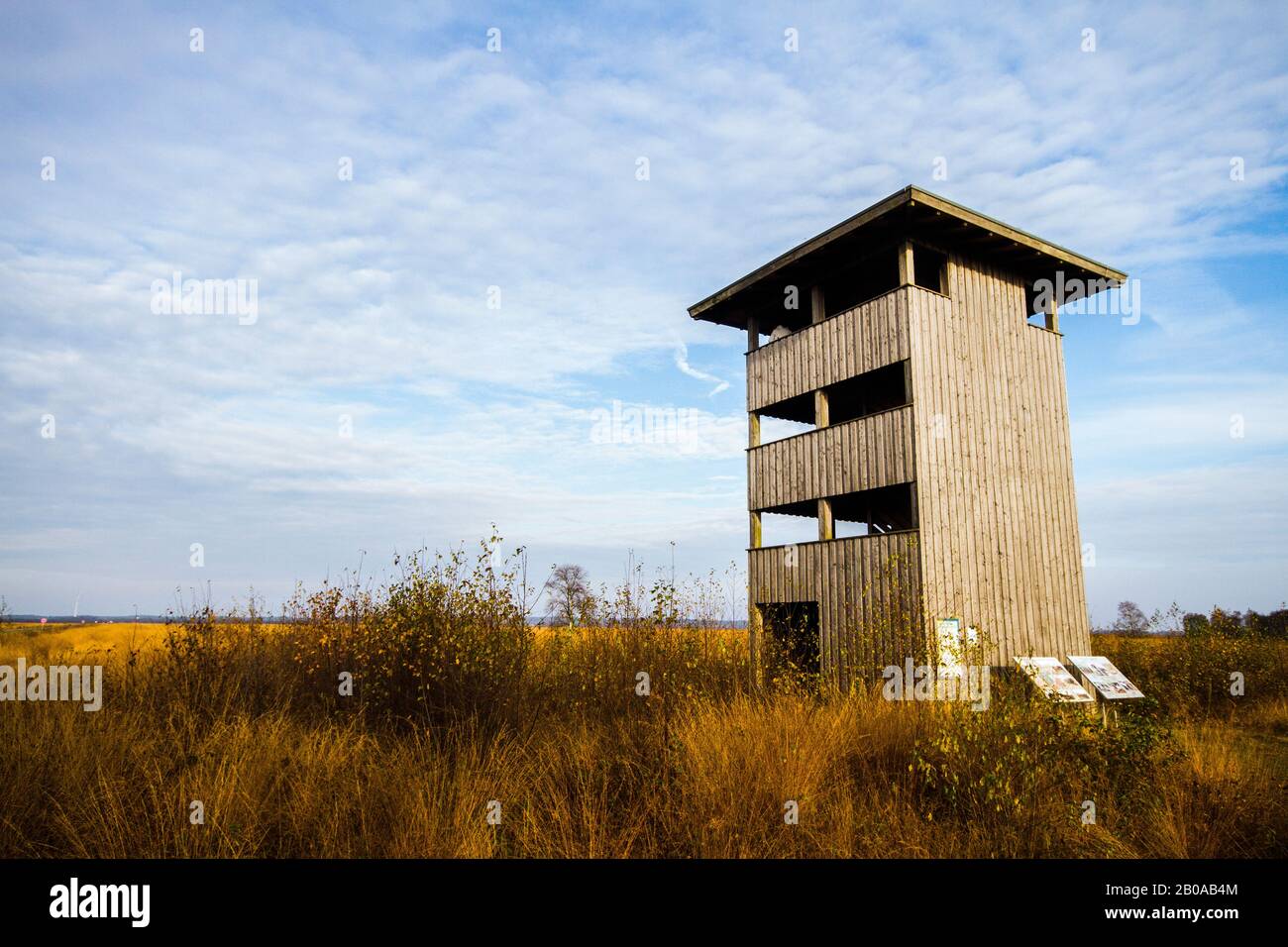 bird watch tower in the Rheedener Moor, Germany, Lower Saxony, Diepholz ...