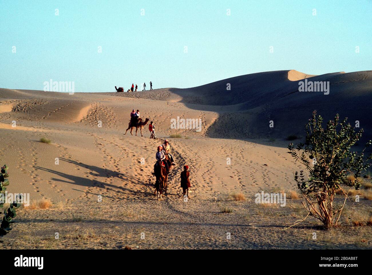 INDIA, RAJASTHAN, GREAT INDIAN (THAR) DESERT, NEAR JAISALMER, SAND ...