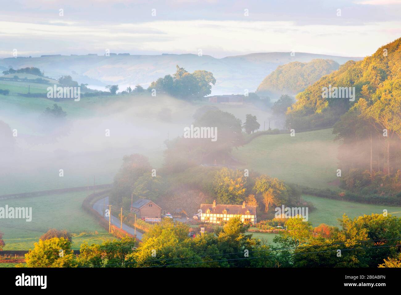 Bocage landscape with hedges hi-res stock photography and images - Alamy