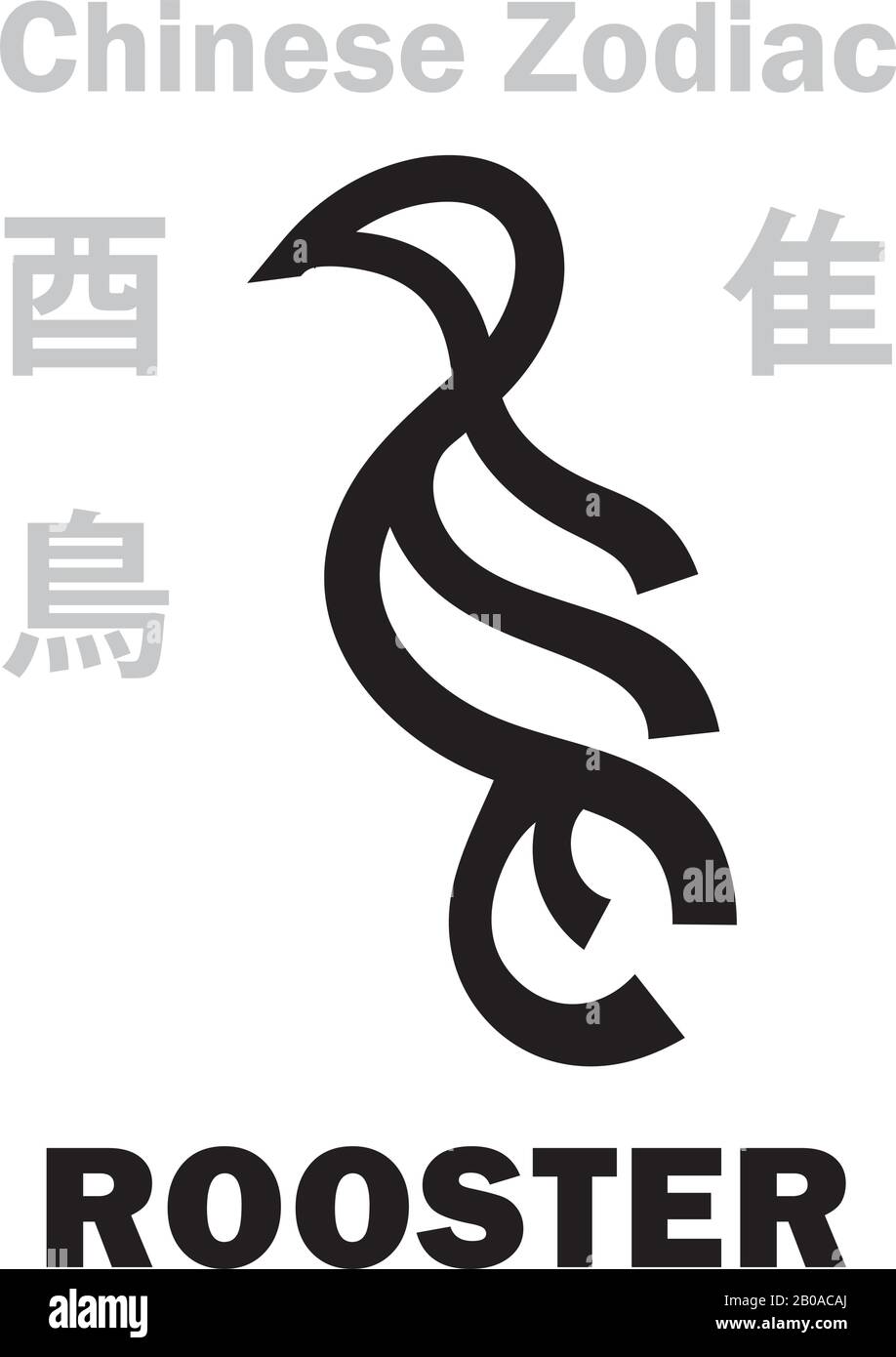 What bird are you based on your zodiac sign 60 photos - Youhoroscope.com
