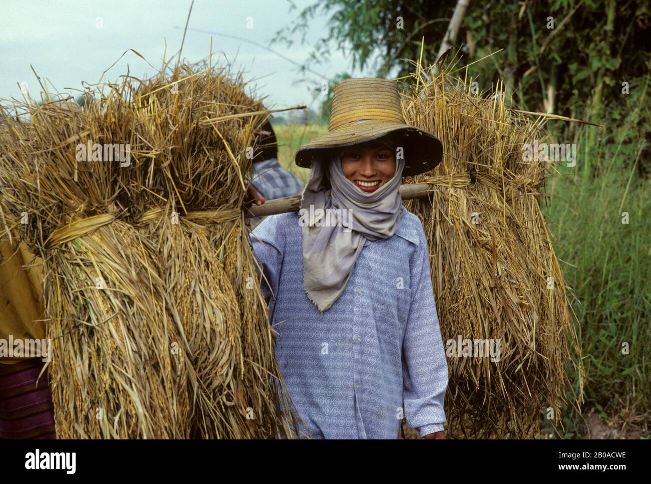 THAILAND, CENTRAL PLAINS, NEAR SUKOTHAI, PORTRAIT OF THAI FARM WOMAN ...